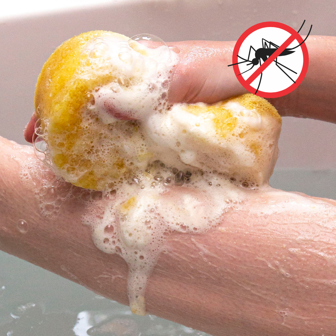 Citronella Tropic Sponge | Exfoliating Citronella Soap Sponge – Village ...