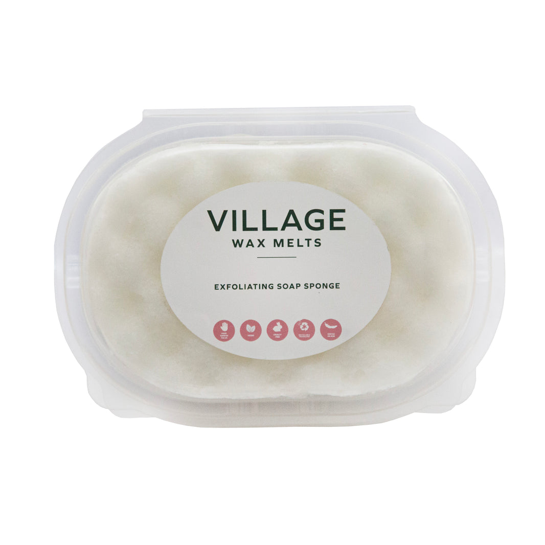 Exfoliating Soap Sponge With Soap Inside | Scented bath sponges ...