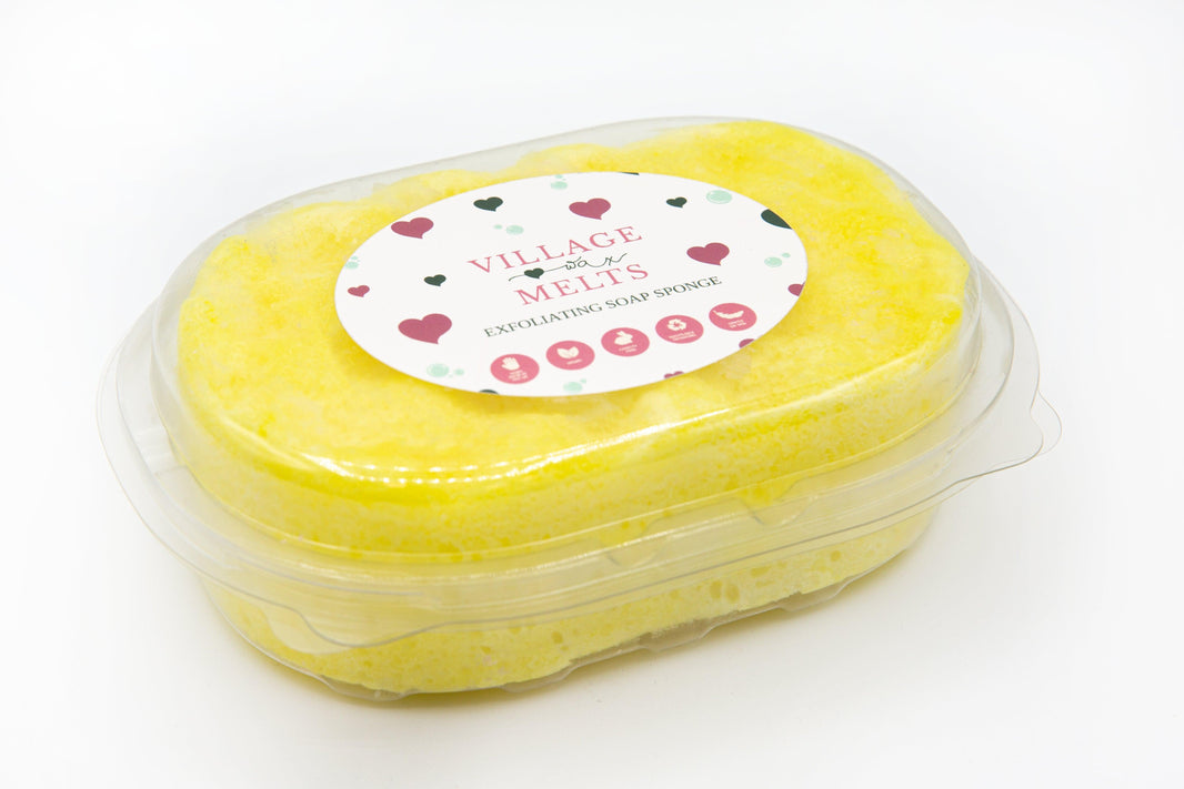 Exfoliating Soap Sponge With Soap Inside | Scented bath sponges ...